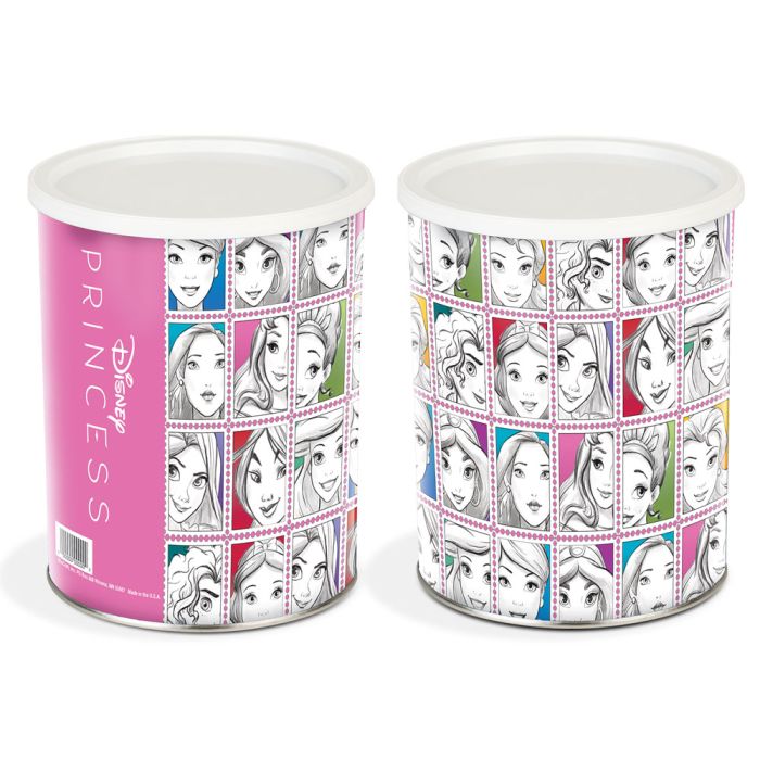 Disney Princess Tin - 1 Gallon in San Antonio, Texas